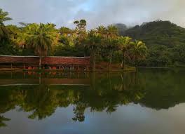 MAGOROTO PACKAGE - FCM Skylink